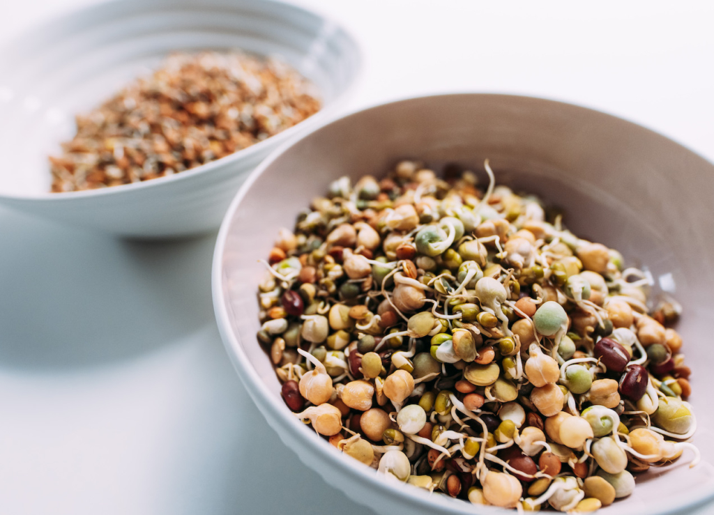 Soaking and Sprouting · GLW