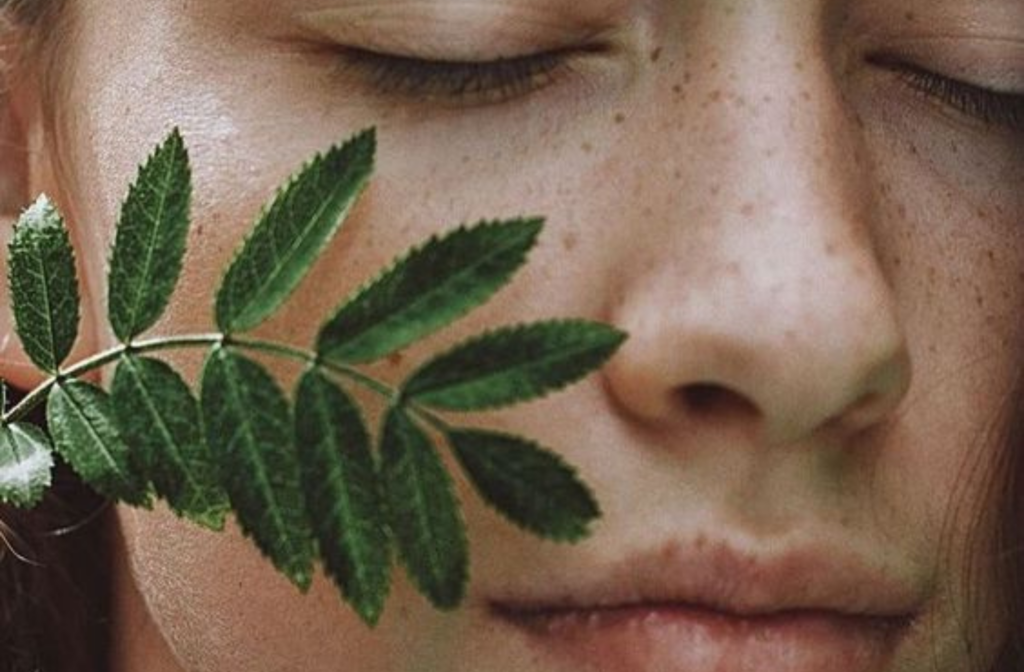 Sniffles and Stuff: Combatting Seasonal Allergies By: Dr. Owen Wiseman ...